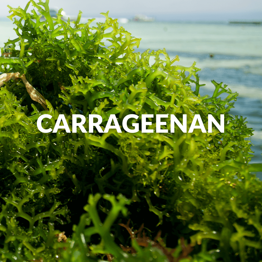 Products - BLUE ARCHIPELAGO SEAWEEDS