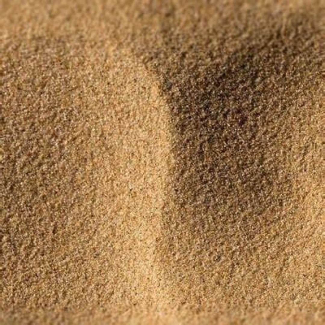 Sargassum - BLUE ARCHIPELAGO SEAWEEDS